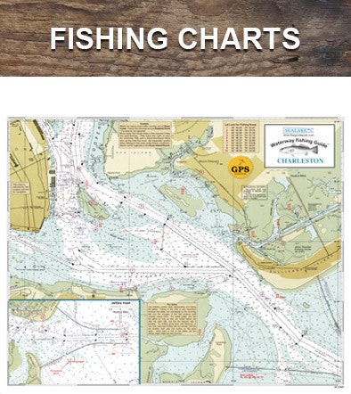 Fishing Charts | Sharks in the Gulf of Mexico – Tagged "North Carolina ...